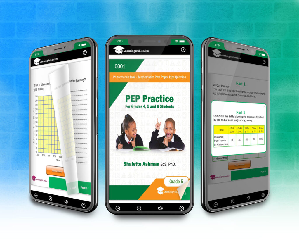 Performance Task – Mathematics Past Paper Type Questions – LearningHub Group