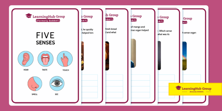 Teachers – LearningHub Group